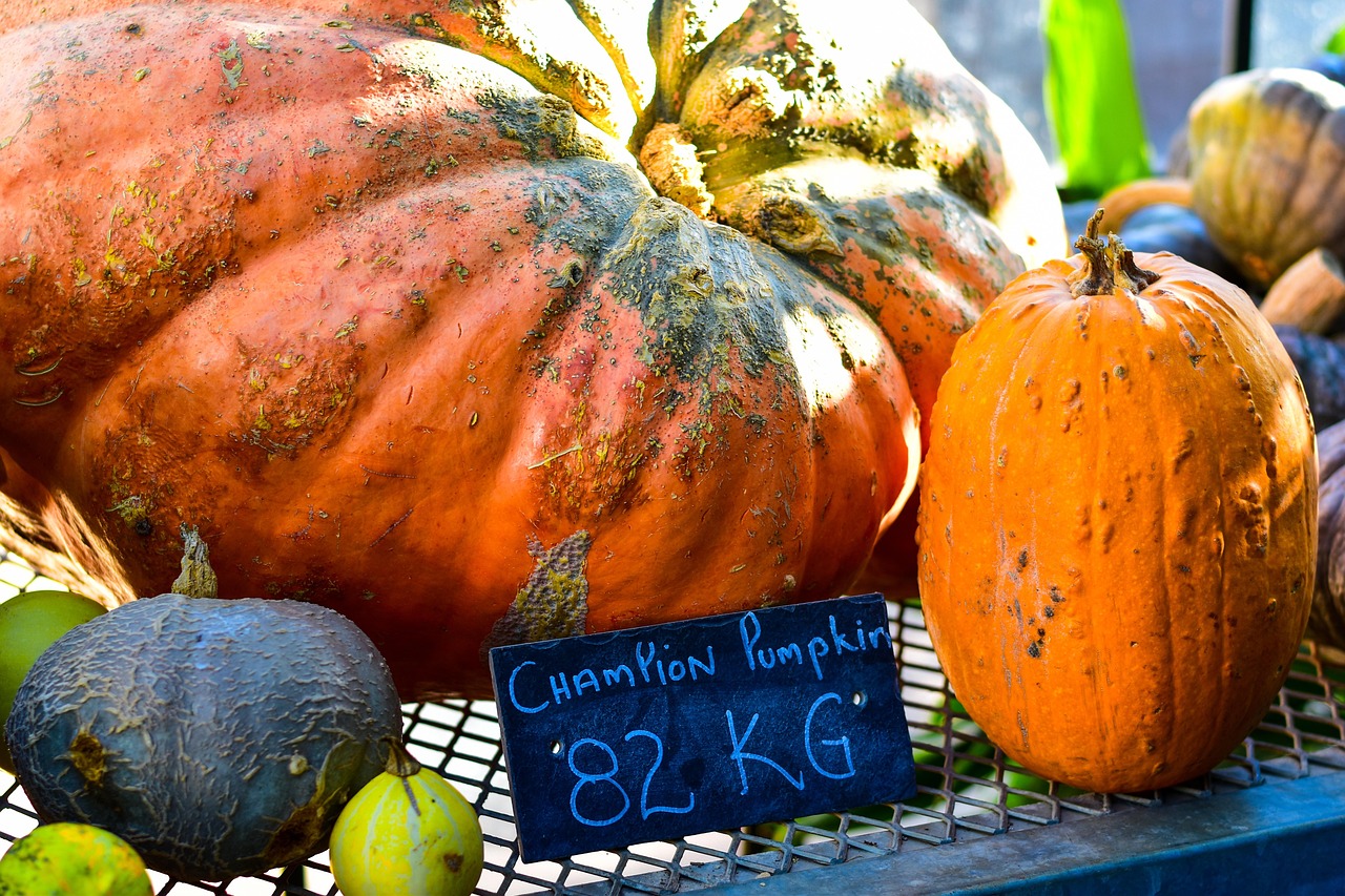 Calabaza Cosecha Verduras - Foto gratis en Pixabay