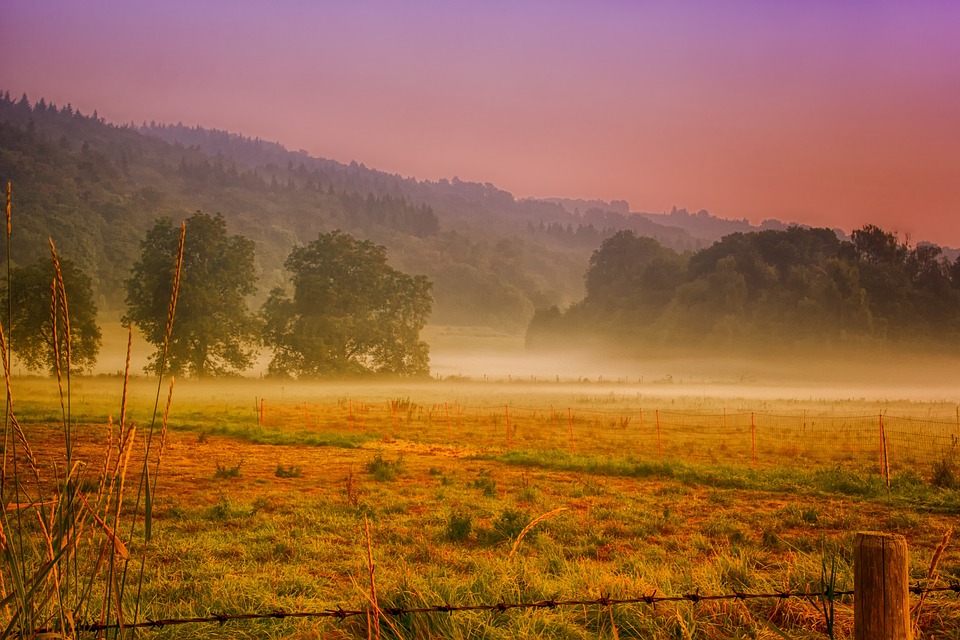 Dawn Haze Ground Fog - Free photo on Pixabay - Pixabay