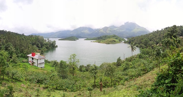 30+ Free Wayanad & Kerala Images - Pixabay