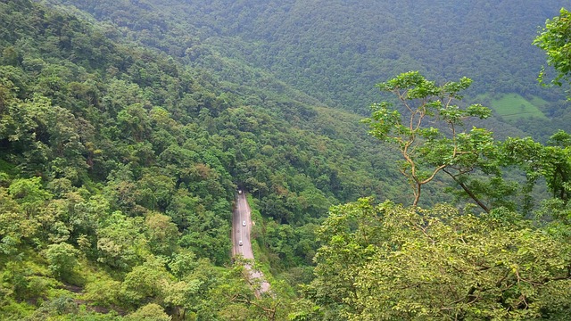 30+ Free Wayanad & Kerala Images - Pixabay