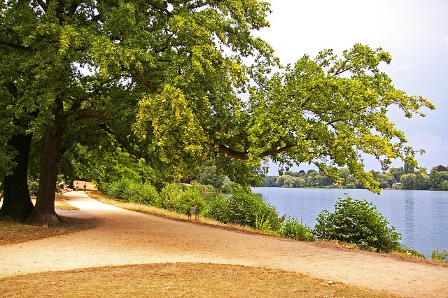 The Holy Lake Potsdam In New - Free photo on Pixabay - Pixabay
