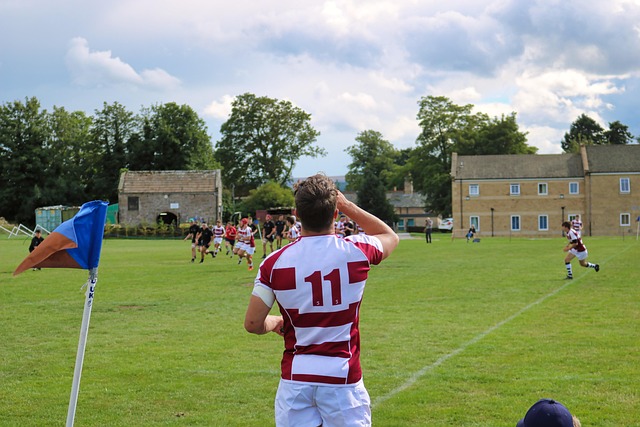 Rugby Touchline Flag - Free photo on Pixabay