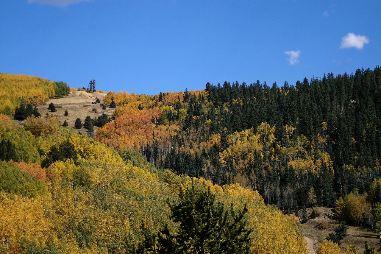 20,000+ Free Gold-Mine & Mining Images - Pixabay