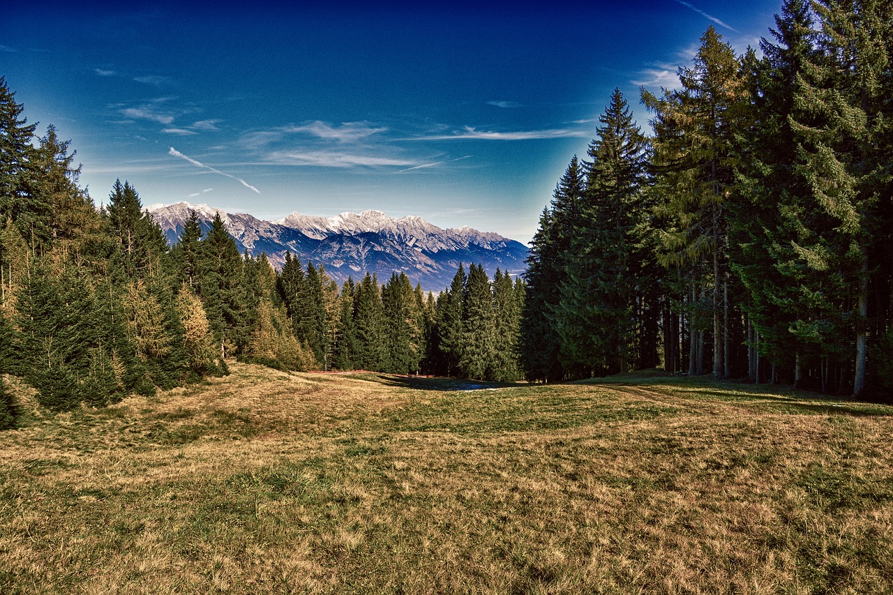 Wiese Wald Berge - Kostenloses Foto auf Pixabay
