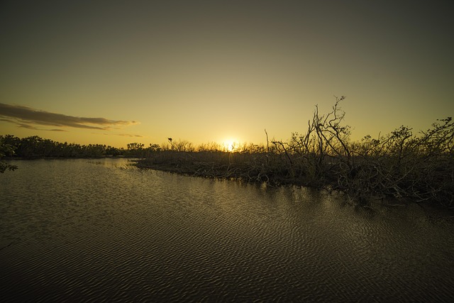 Everglades Pântano Natureza Ao Ar - Foto gratuita no Pixabay - Pixabay