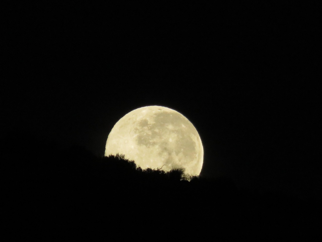 Mond Nacht Mondlicht - Kostenloses Foto auf Pixabay - Pixabay