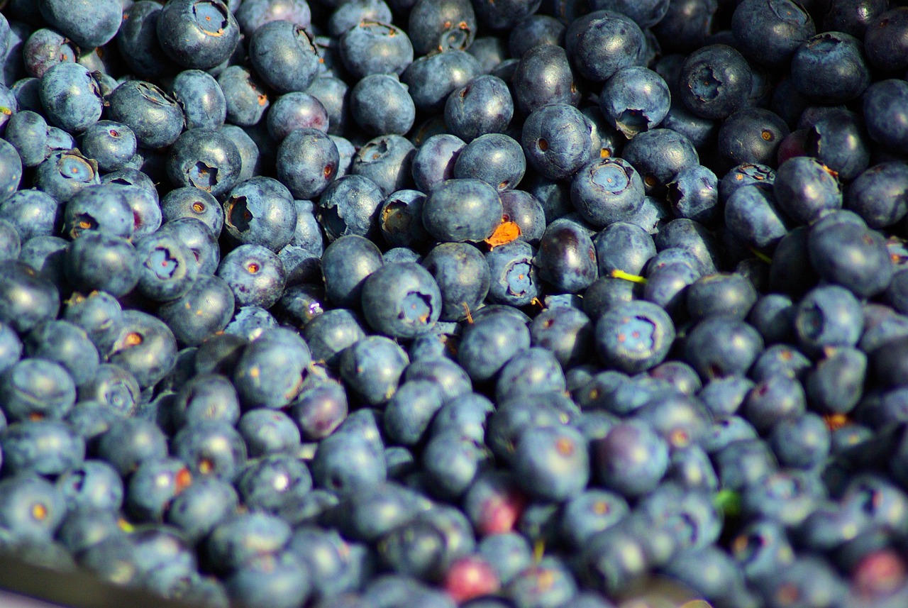Farm Market Blueberries - Free photo on Pixabay - Pixabay