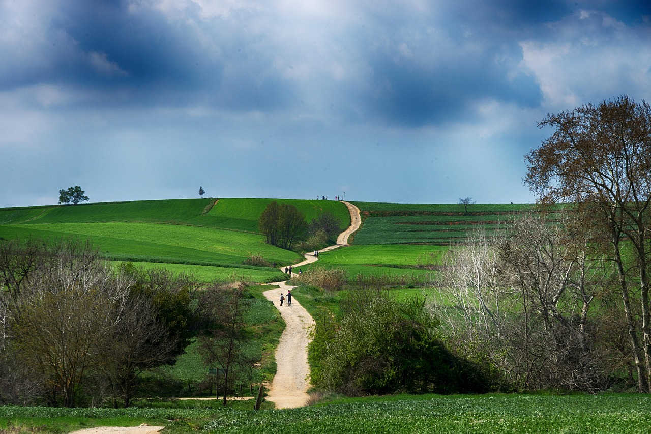 Meadow Green - Free photo on Pixabay - Pixabay