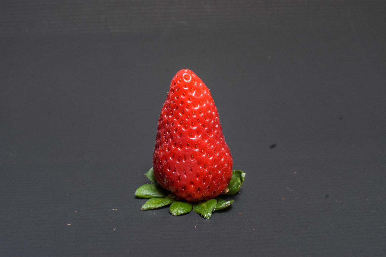 Strawberry Vintage Nature - Free photo on Pixabay - Pixabay