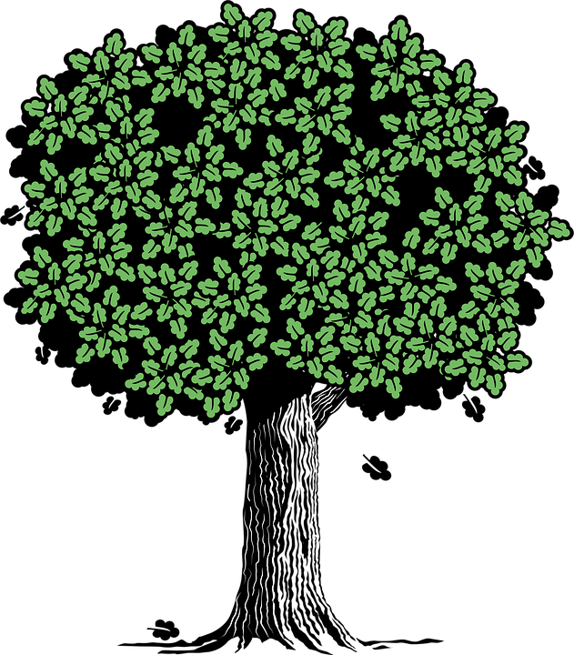 Download Tree, Green, Nature. Royalty-Free Vector Graphic - Pixabay