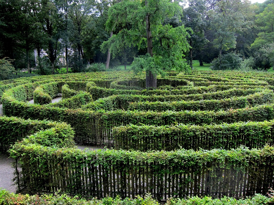 Labyrinth Grün Bäume - Kostenloses Foto auf Pixabay