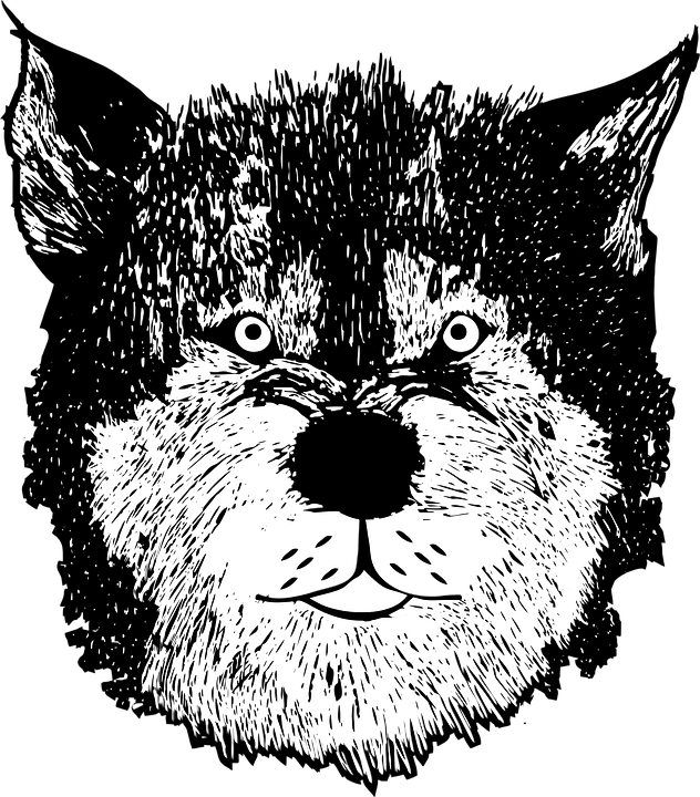 Wolf Wild - Kostenlose Vektorgrafik auf Pixabay - Pixabay