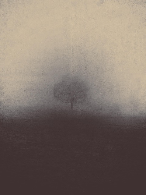 Misty Fog Nature Haze - Free photo on Pixabay - Pixabay