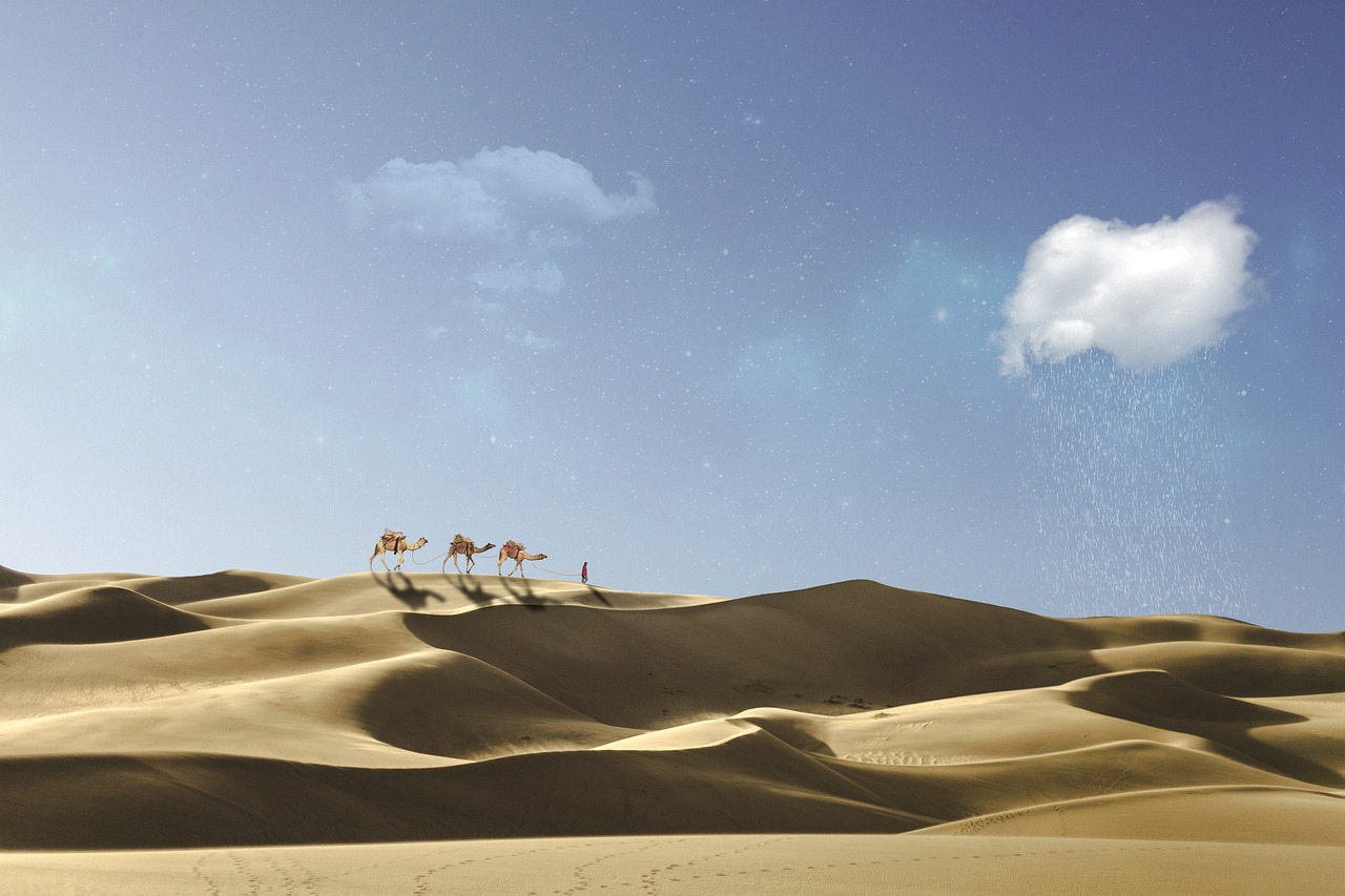 Desert Caravan - Fotografie zdarma na Pixabay - Pixabay