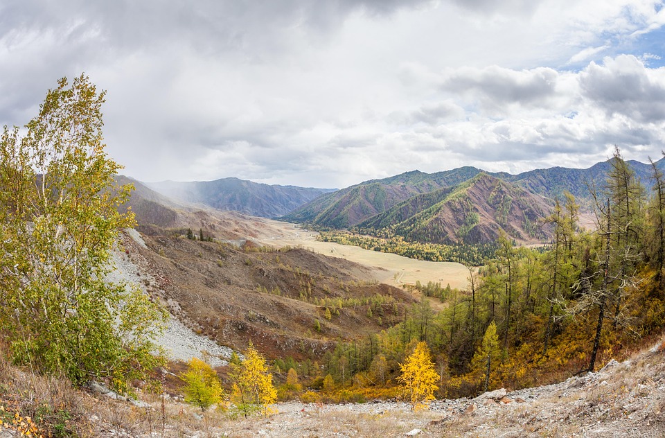 Altai Mountains Trees - Free photo on Pixabay