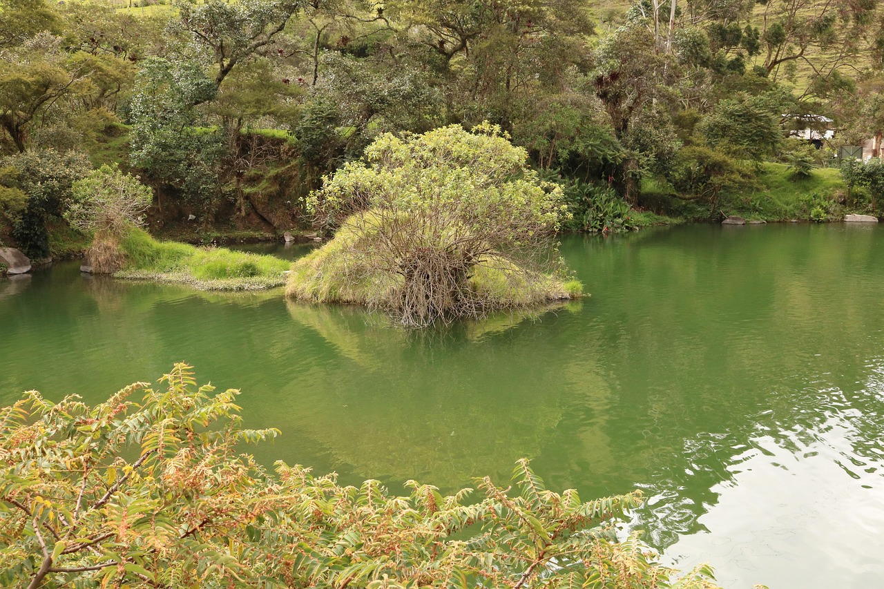 Campo Lago Paisaje - Foto gratis en Pixabay - Pixabay