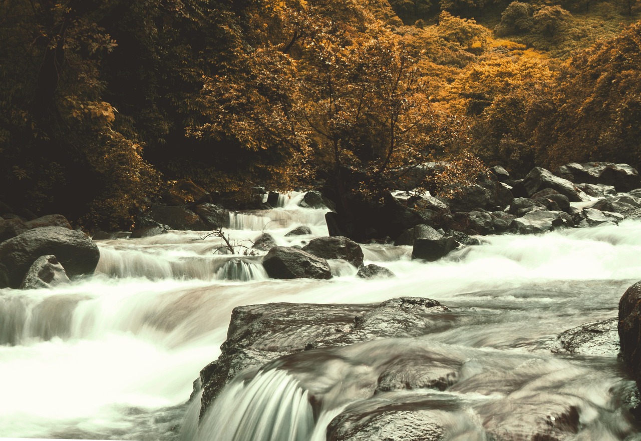 Natureza Floresta Panorama - Foto gratuita no Pixabay - Pixabay
