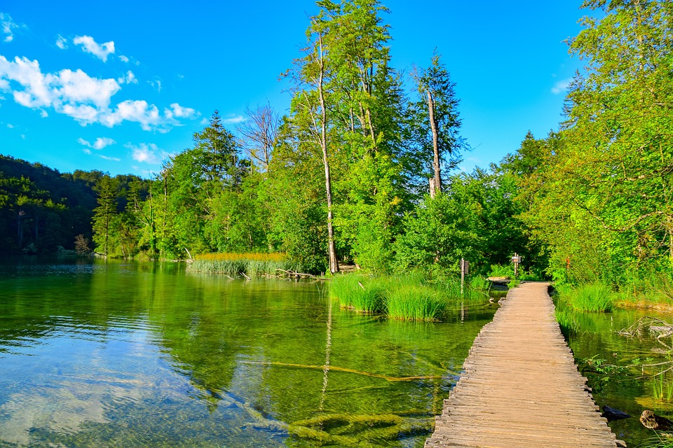 Nature Web Water - Free photo on Pixabay