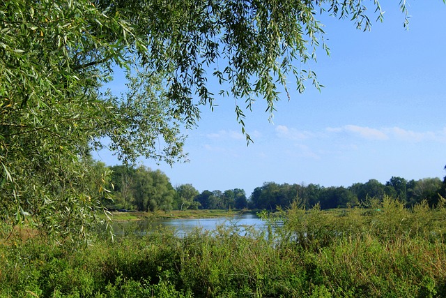 Landscape Green River - Free photo on Pixabay