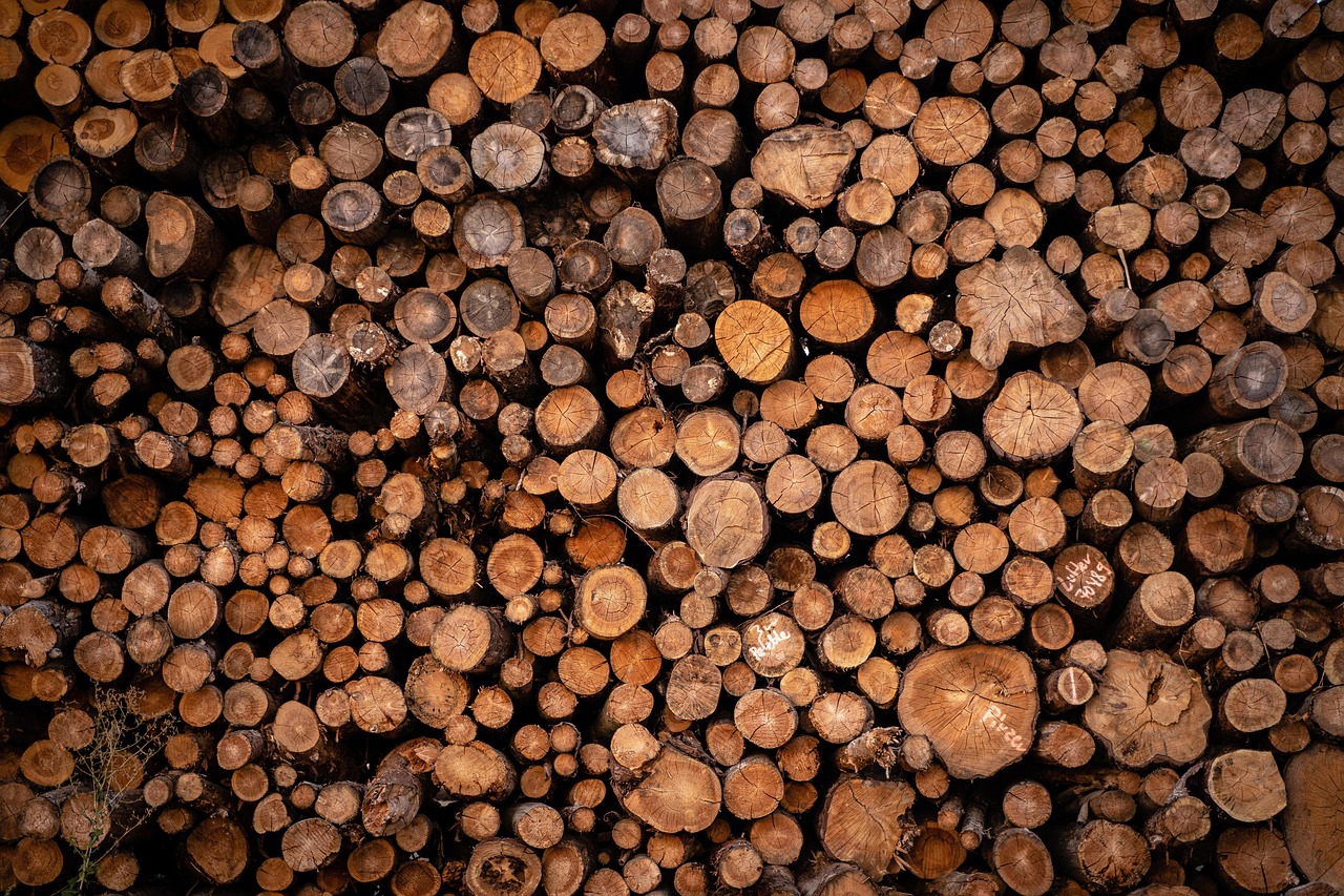 Pile Of Wood Tree Trunks Firewood - Free photo on Pixabay - Pixabay