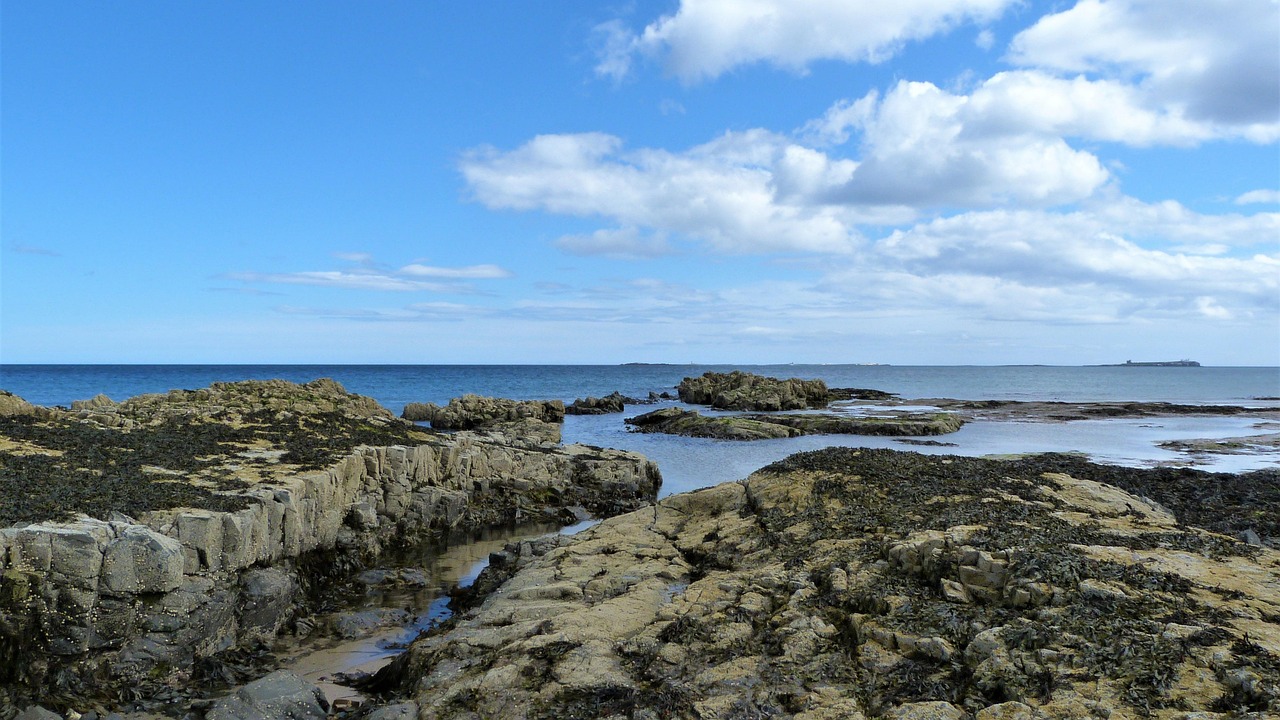 10,000+ Free Rockpool Scenery & Nature Images - Pixabay