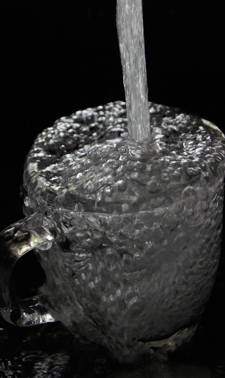 Water Food Close Up - Free photo on Pixabay - Pixabay