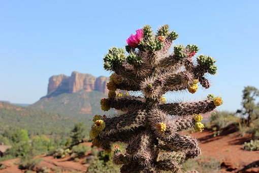 200+ Free Sedona Arizona & Sedona Images