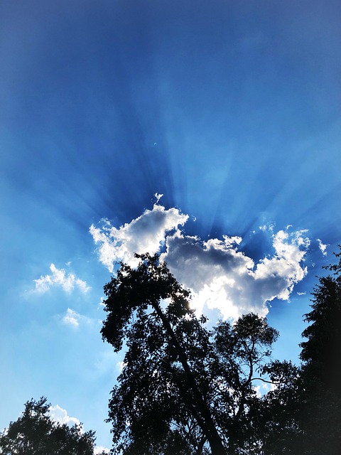 Summer Sun Sunshine Free Photo On Pixabay