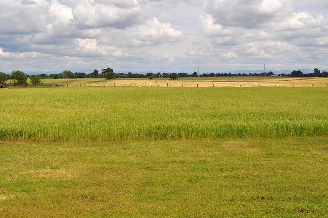 Country Field Nature - Free photo on Pixabay