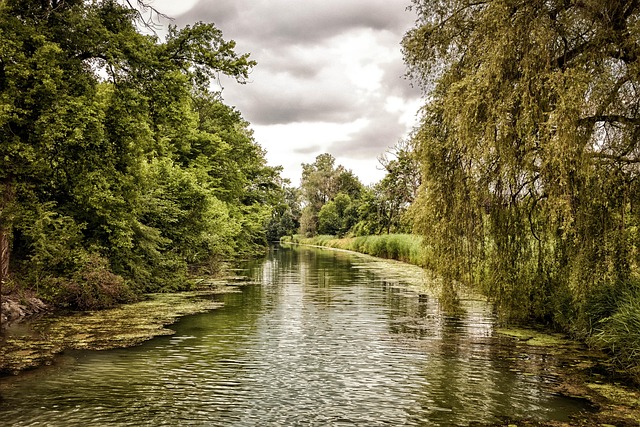 Neuburg Am Rhein Green Hdr - Free photo on Pixabay - Pixabay