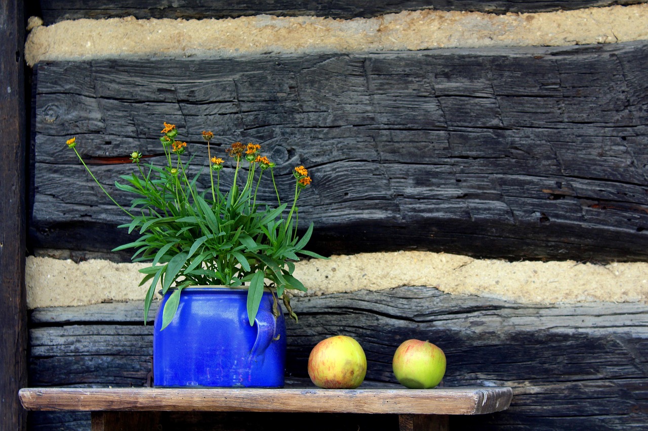 90+ Free Village Fruit & Village Images - Pixabay
