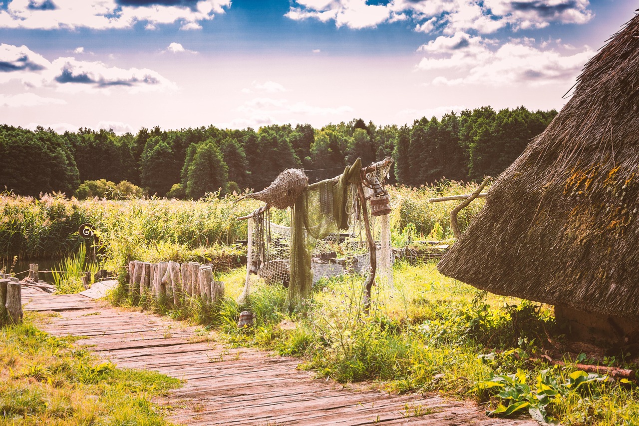 100+ kostenlose Steinzeit und Geschichte-Bilder - Pixabay