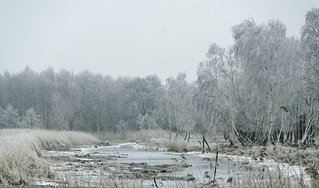 100 000+ darmowych obrazów z kategorii Widok Zima i Zima - Pixabay