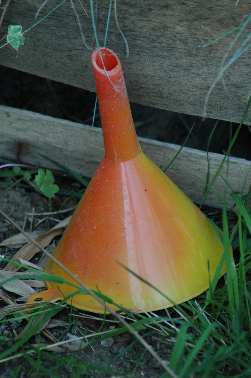 Más de 20 000 imágenes gratis de Yellow Funnel y Naturaleza - Pixabay