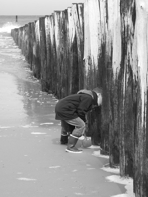 Child Sea Beach The - Free photo on Pixabay - Pixabay