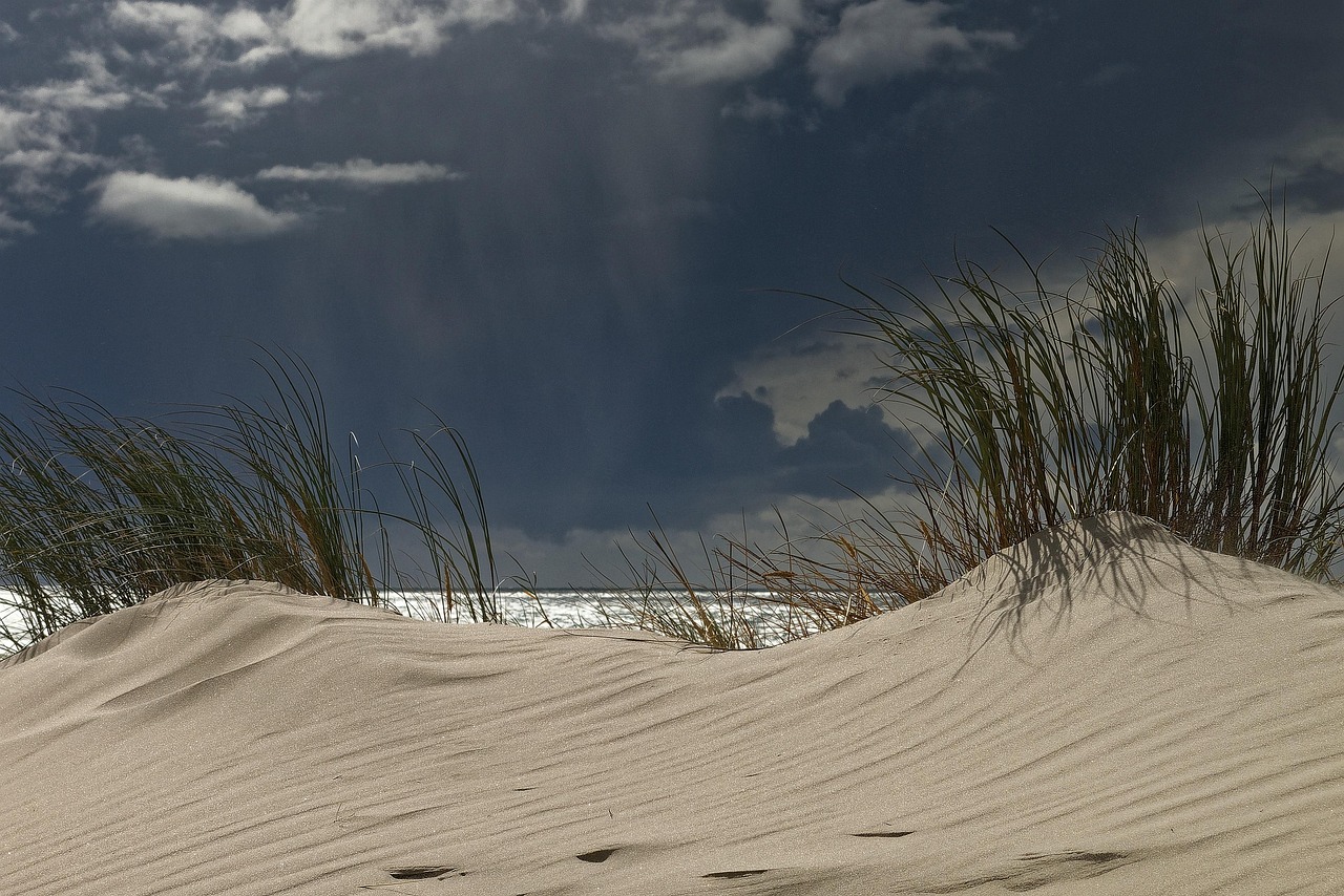 1,000+ Free Sand Dunes Beach & Beach Images - Pixabay