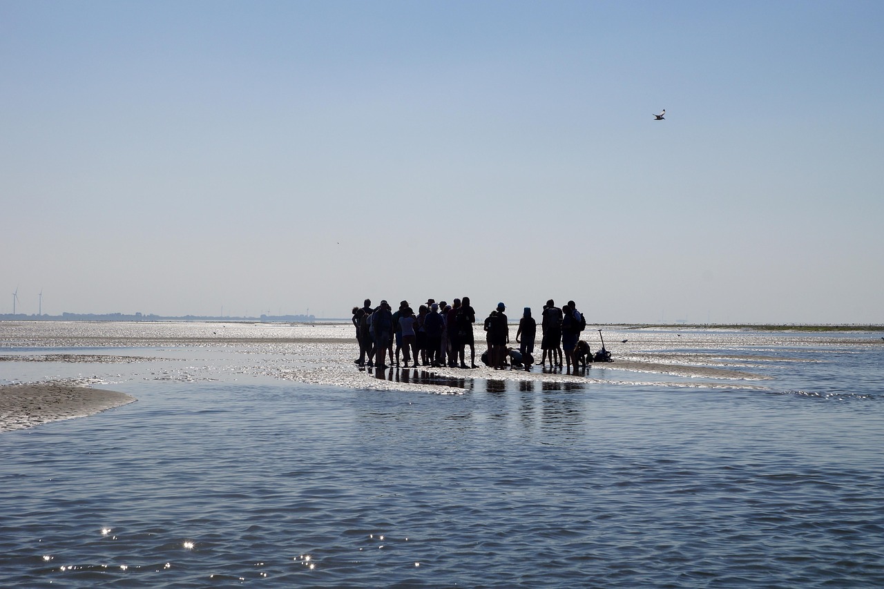 Waddenzee Wadlopen Gebied Tussen - Gratis foto op Pixabay