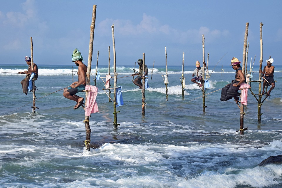 Travel Living Sea Lifestyle - Free photo on Pixabay - Pixabay