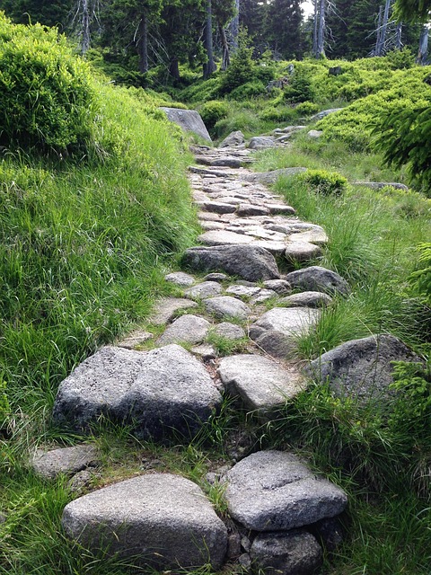 Riesengebirge Gebirge Der Pfad - Kostenloses Foto auf Pixabay - Pixabay