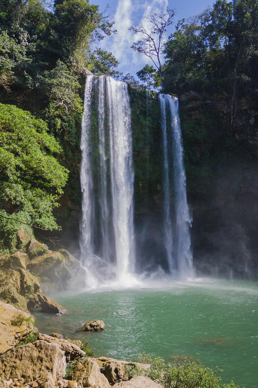 Chiapas México Nature - Free photo on Pixabay - Pixabay