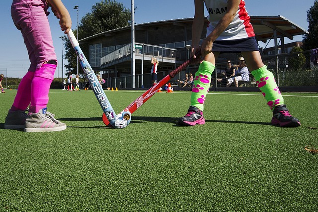 Hockey Sports - Free photo on Pixabay - Pixabay