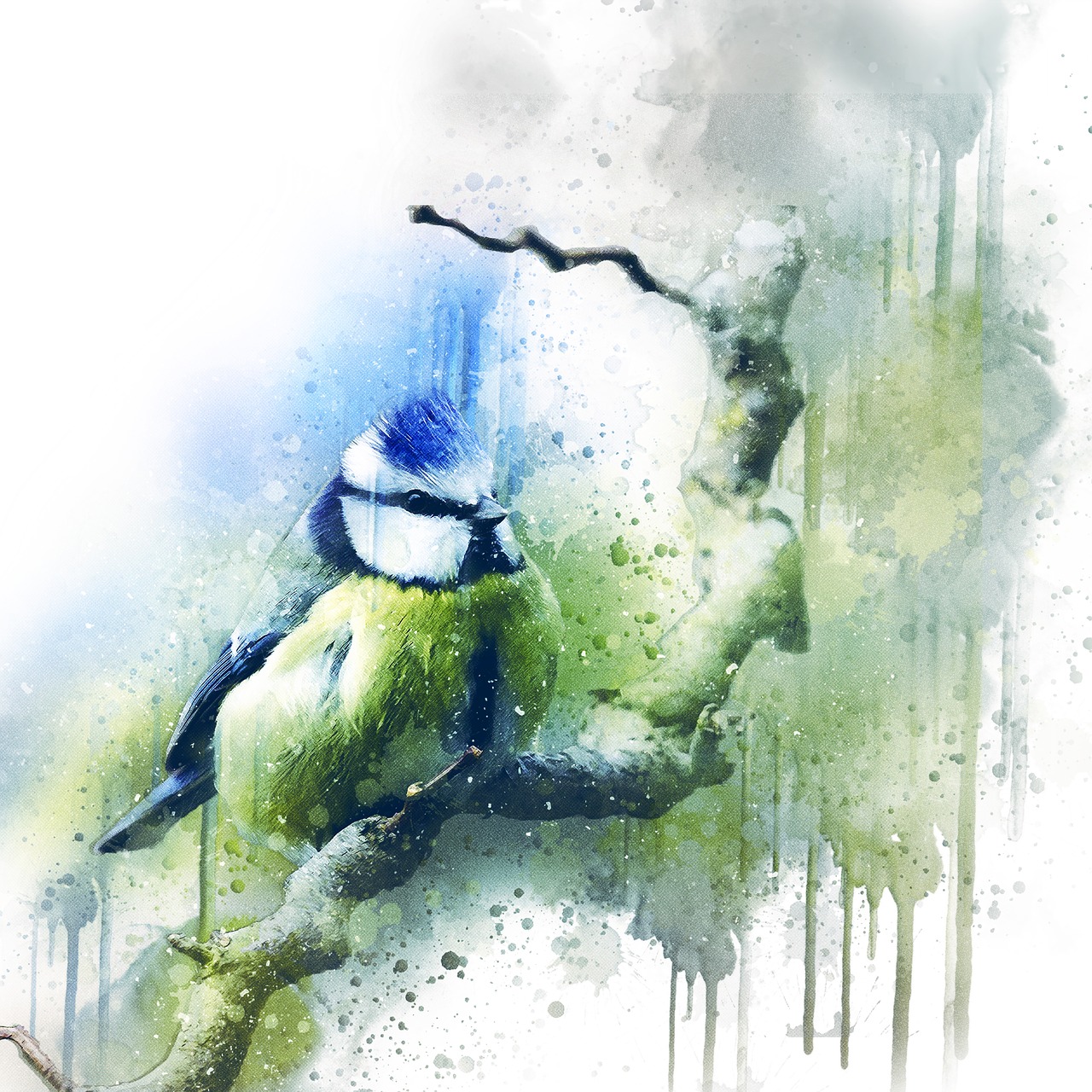 Download Bird, Blue Tit, Nature. Royalty-Free Stock Illustration Image ...