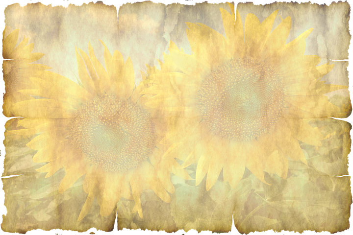 300+ Free Parchment Background & Parchment Images