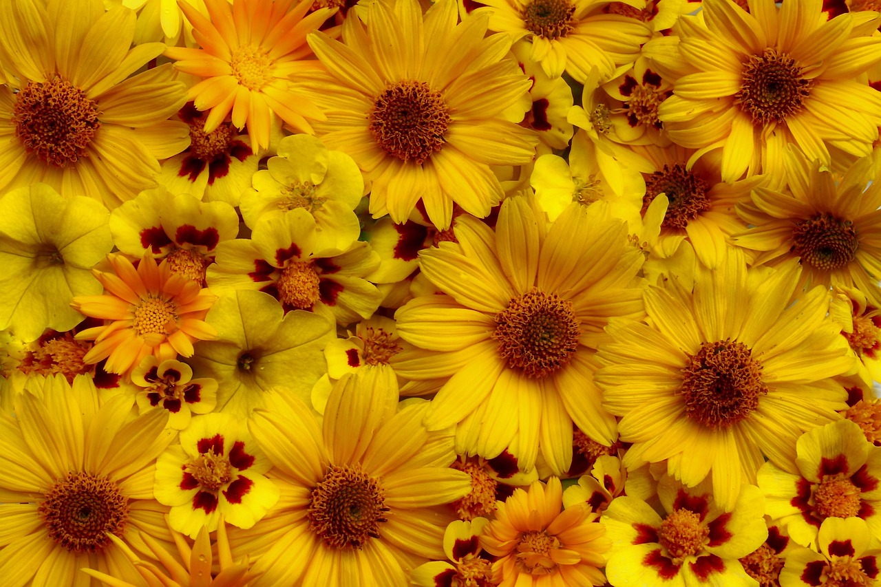 Yellow Flowers Tumblr 14 Desktop Background