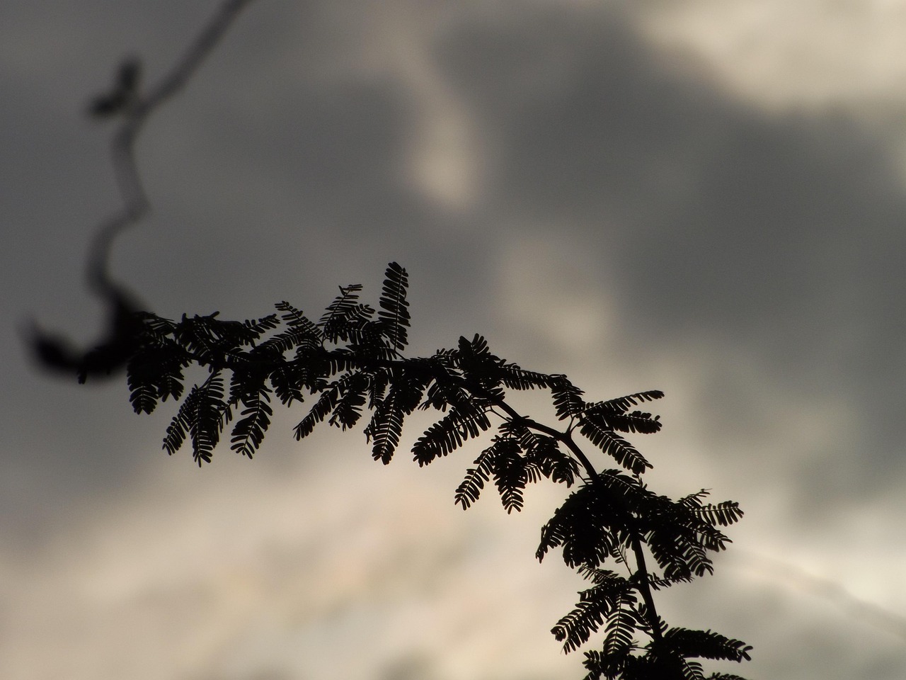 Monsoon Clouds Rain - Free photo on Pixabay - Pixabay