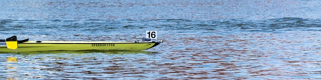 Sports Regatta Rowing - Free photo on Pixabay - Pixabay