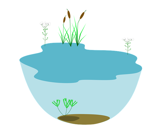 Download Lake, Ecosystem, Ecosystems Water Water. Royalty-Free Vector ...