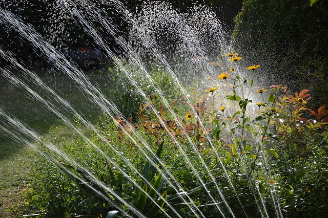 10,000+ Free Drip Irrigation System & Irrigation Images - Pixabay