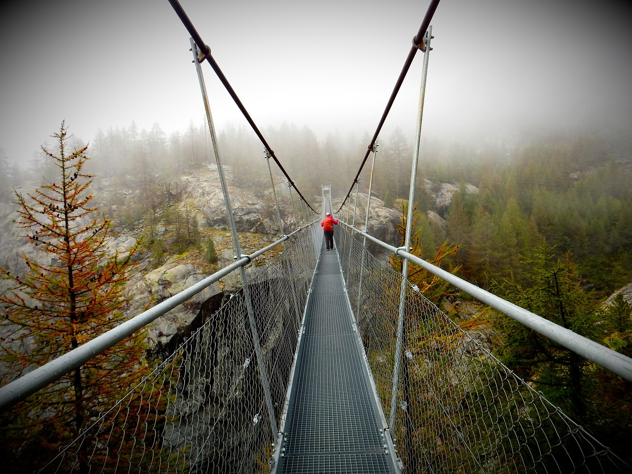 Achieve The Purpose Of Path Nature - Free photo on Pixabay