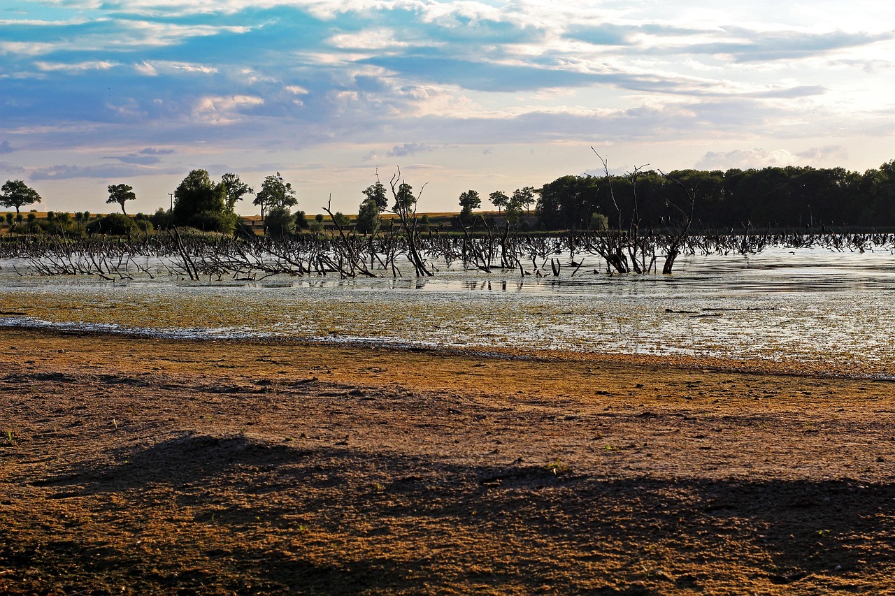 Protected Landscape Area Hatchery - Free photo on Pixabay - Pixabay